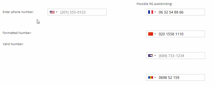 Phone Number Input With Formatting New Plugin From Zeroqode Plugins Zeroqode Forum